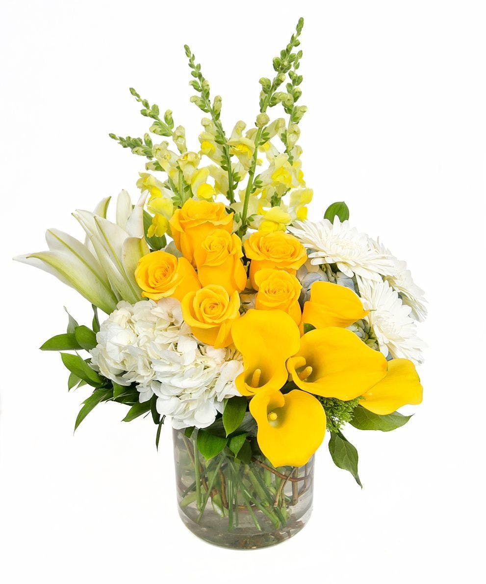 Bundle of Sunshine in Boston, MA | Central Square Florist