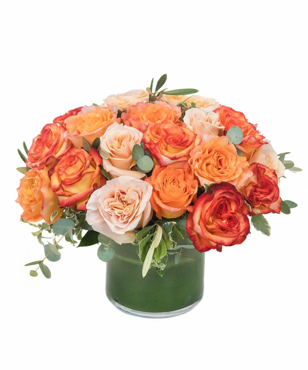 Thanksgiving Flowers Cambridge & Boston (MA) Same Day Delivery ...