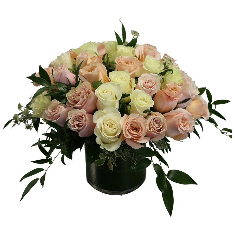 Rose Devotion in Boston, MA | Central Square Florist