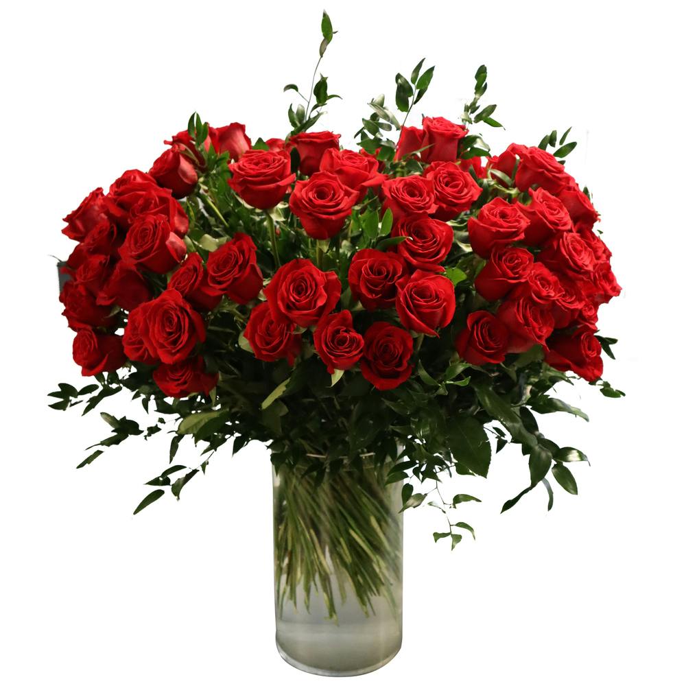 100 Premium Long Stem Roses in Boston, MA - Central Square Florist