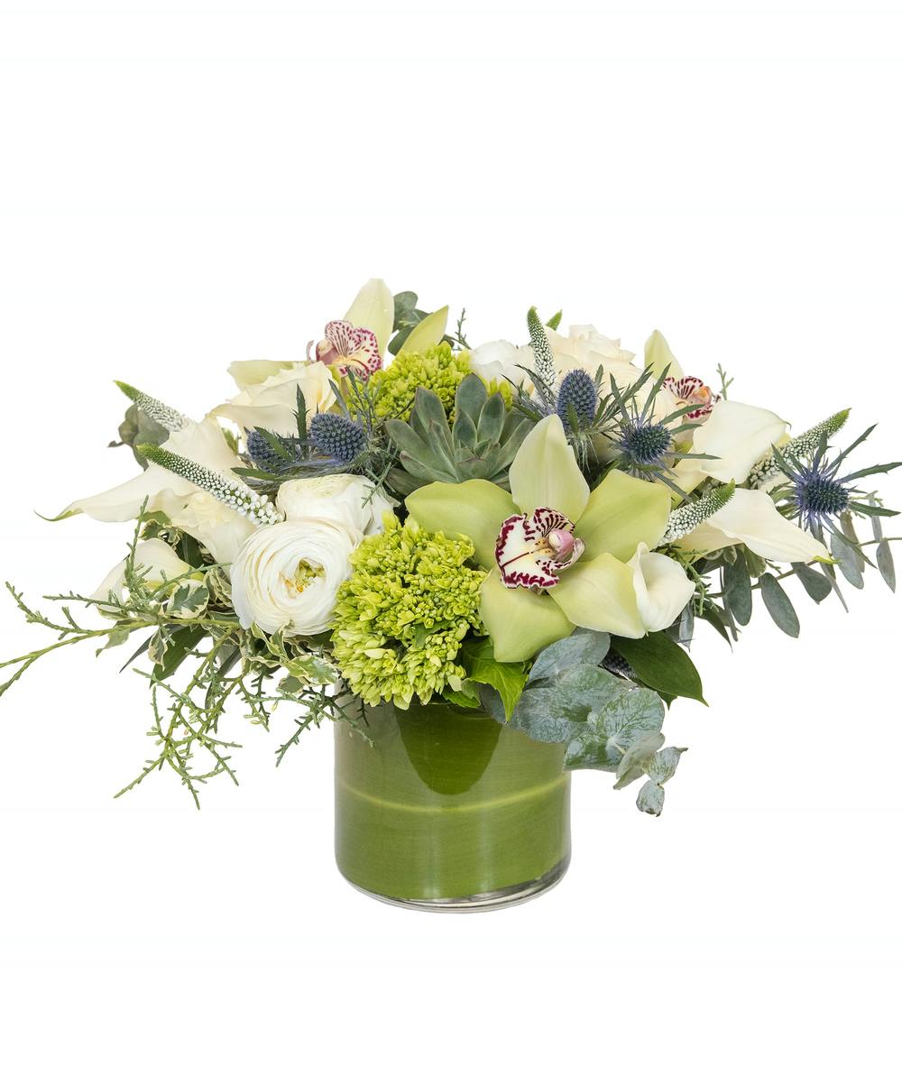 Serene Style in Boston, MA | Central Square Florist